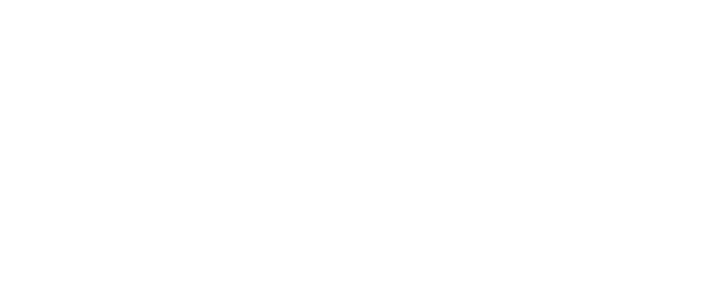 Licenciatura em Matemática Aplicada FCUP